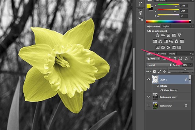 How Do I Use Color Overlay In Adobe Photoshop Techwalla