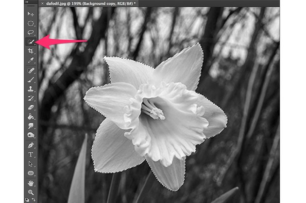 How Do I Use Color Overlay In Adobe Photoshop Techwalla