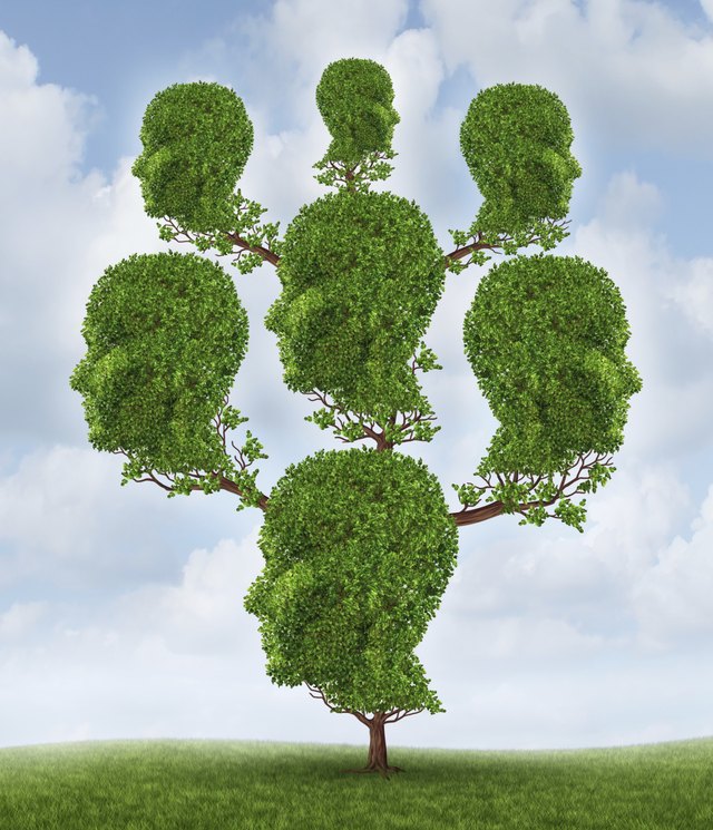 How To Make A Family Tree In Microsoft Word Techwalla